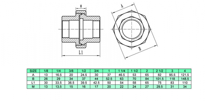Hexagon Forged Stainless Steel Pipe Fittings Conform To ISO 228 1 ISO 7 1
